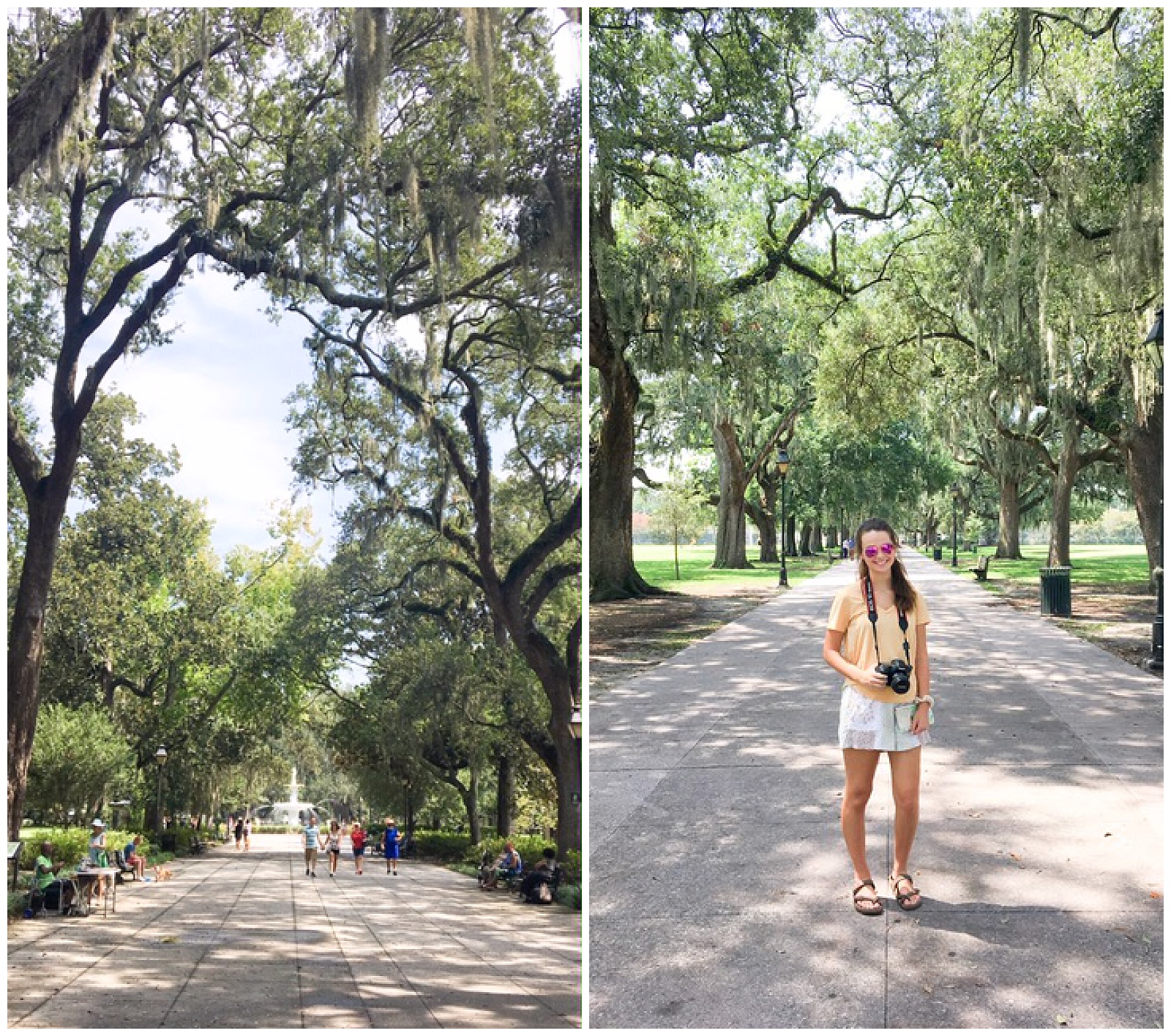 Vacation in Charleston, South Carolina and Savannah, Georgia ...