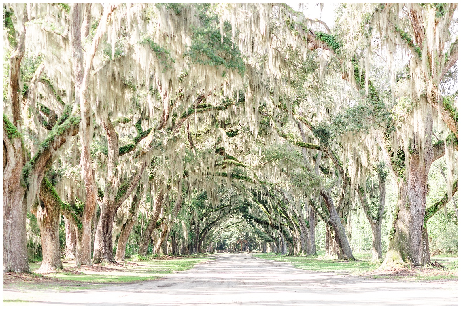 Vacation in Charleston, South Carolina and Savannah, Georgia ...